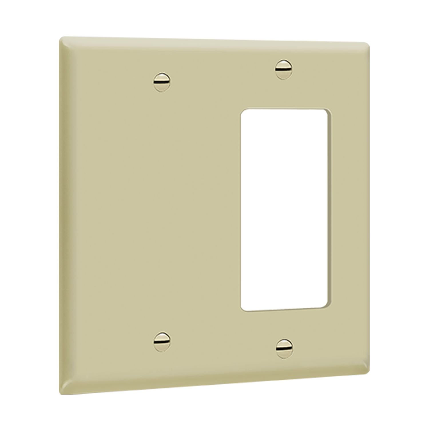 Enerlites 880131-I - Combination Two-Gang Wall Plate - Blank and ...